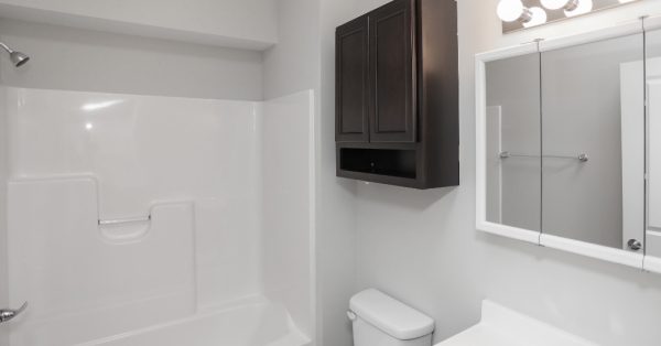 Apartment Amenities at Alpine Studios